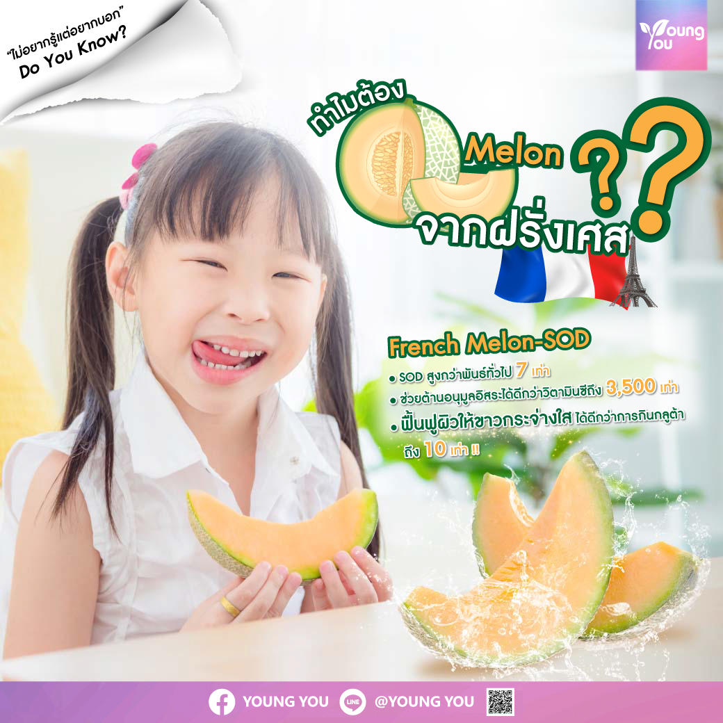 ทำไมต้อง Melon ฝรั่งเศส ? - NAP Biotec Co., Ltd.