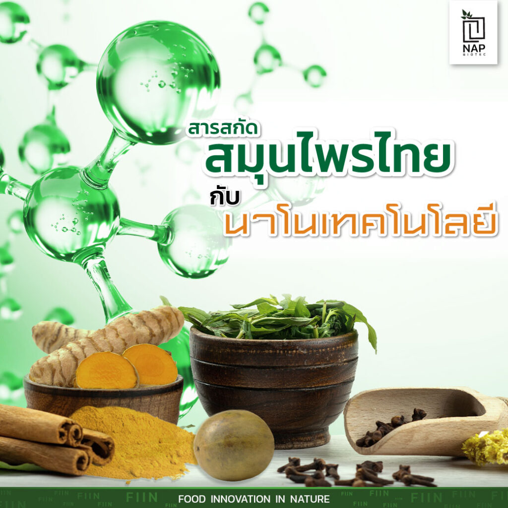 สารสกัดสมุนไพรไทยกับนาโนเทคโนโลยี - NAP Biotec Co., Ltd.